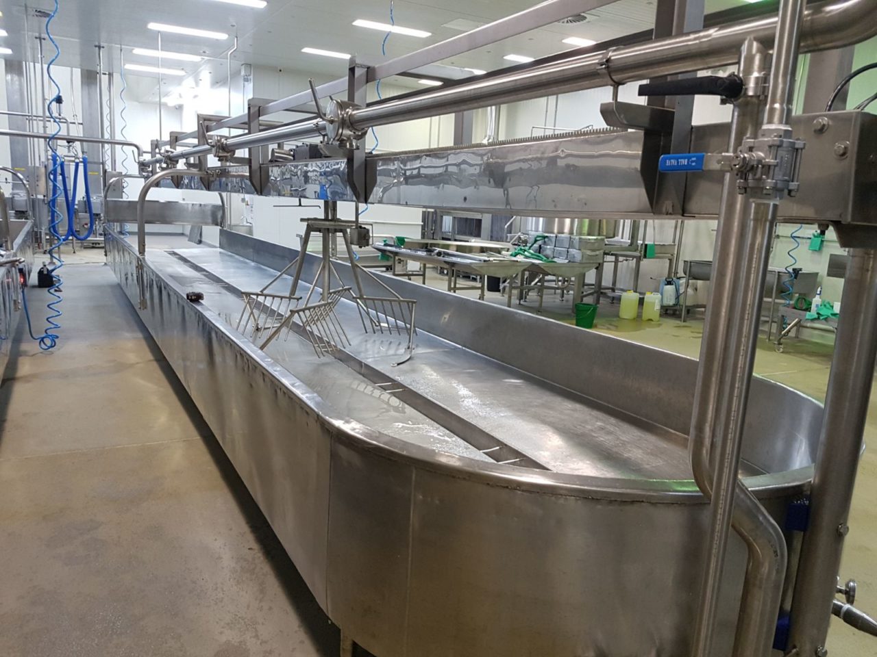 Cheese Equipment - Thermaflo Australia